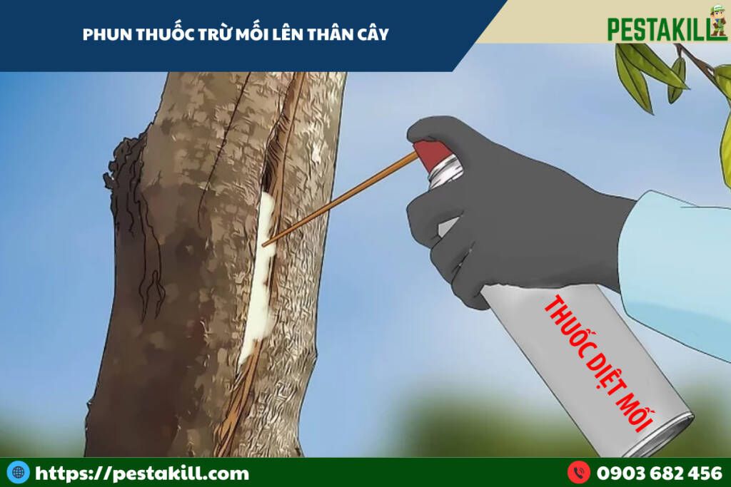 [Tư vấn] Thuốc chống mối cho cây trồng tốt nhất - Pestakill